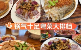 粤菜家常炒菜视频教程_如何快速掌握