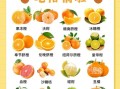 橘子的营养价值有哪些_吃橘子会上火吗
