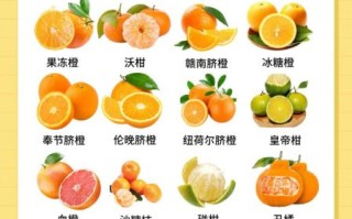 橘子的营养价值有哪些_吃橘子会上火吗