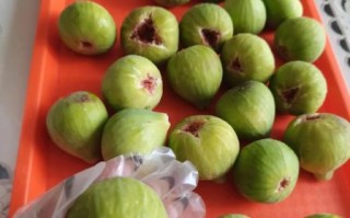 新鲜无花果怎么保存_无花果能放冰箱吗