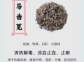 马齿苋能治什么病_马齿苋的副作用有哪些