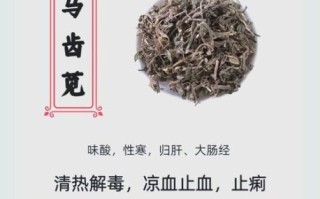 马齿苋能治什么病_马齿苋的副作用有哪些