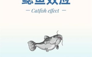 鲶鱼效应是什么_如何应用鲶鱼效应