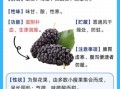 桑葚吃多了有什么坏处_桑葚一天吃多少合适
