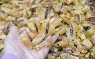 雪蛤价格多少一斤_正宗雪蛤多少钱一斤