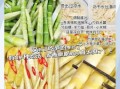 酸竹笋怎么做好吃_酸竹笋的做法步骤