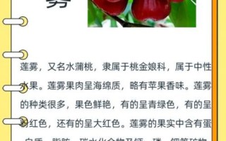 莲雾中间芯能吃吗_莲雾芯口感怎么样