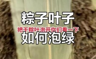 干粽叶先煮还是先泡_粽叶处理顺序
