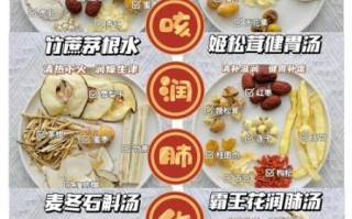 润肺止咳化痰汤的做法_润肺止咳化痰汤适合哪些人