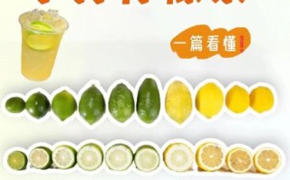 一颗柠檬茶怎么做_柠檬茶做法步骤