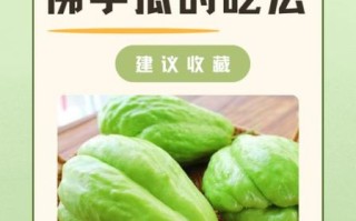 佛手瓜生吃怎么吃_佛手瓜可以凉拌吗