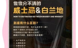 白兰地和威士忌的区别_如何区分白兰地和威士忌