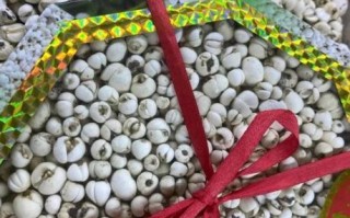 川贝价格多少钱一斤_川贝为什么这么贵