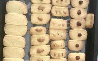 奶酪小饼干怎么做_奶酪小饼干的做法步骤