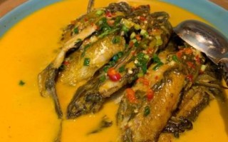 黄焖鱼怎么做才好吃_正宗黄焖鱼做法步骤