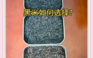 血糯米和黑米哪个补血_血糯米和黑米补血效果对比