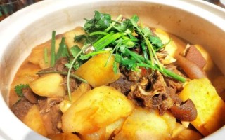 萝卜烧羊肉怎么做好吃_萝卜烧羊肉的正宗做法