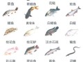 鱼的图片大全及名字_常见淡水鱼有哪些