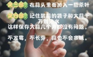大蒜怎么保存不发芽_大蒜的功效与作用有哪些