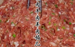 牛肉葱花饺子馅怎么调_牛肉饺子馅放多少葱花