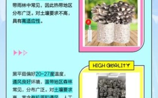 黑姬菇怎么做好吃_黑姬菇的营养价值