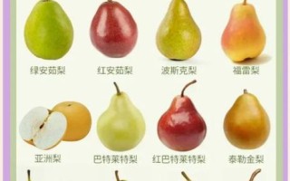梨的种类有哪些_常见梨品种名称大全