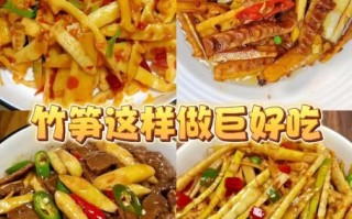 鲜竹笋怎么做好吃_鲜竹笋的做法大全