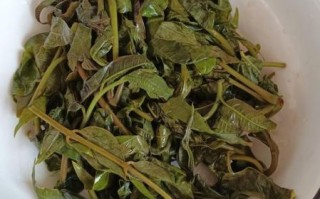 腌香椿对身体有害吗_腌香椿吃多了有什么坏处