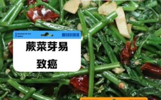 蕨菜致癌是真的吗_要少吃吗