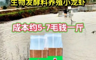 龙虾吃什么饲料_龙虾饲料配方大全