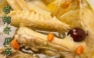 夏季老鸭汤的做法大全_老鸭汤怎么炖好喝又解暑