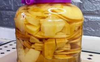 自制苹果醋的做法_苹果醋发酵多久能喝