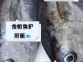 金枪鱼哪些人不能吃_孕妇能吃金枪鱼吗