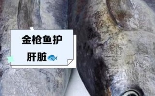 金枪鱼哪些人不能吃_孕妇能吃金枪鱼吗