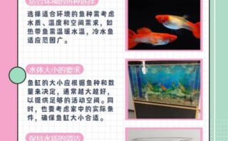 水鱼怎么玩_水鱼游戏规则详解