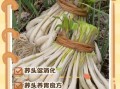 荞头什么时候种最合适_荞头种植方法步骤