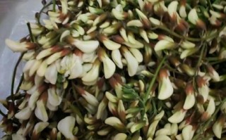 香花槐树的花能吃吗_香花槐花怎么吃
