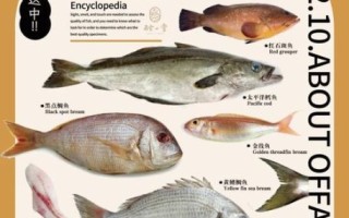 深海鱼有哪些品种_深海鱼营养价值高吗