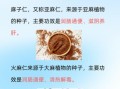 火麻仁治便秘的配方_火麻仁怎么吃通便最快