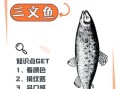 虹鳟鱼和三文鱼的区别_怎么分辨真假三文鱼