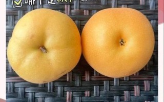 丰水梨的功效与作用_丰水梨怎么吃润肺止咳