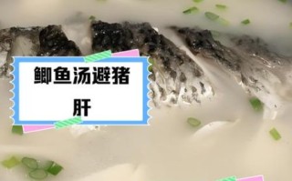 鲫鱼汤和鲤鱼汤哪个好_营养价值对比