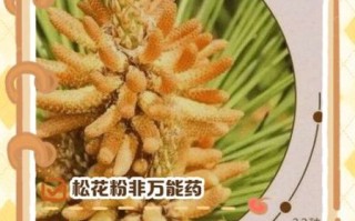 松花粉骗局是真的吗_央视曝光真相