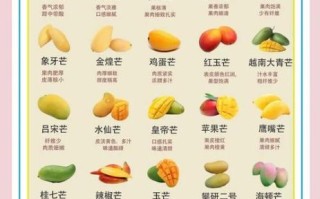 芒果减肥法真的有用吗_芒果减肥一周瘦几斤