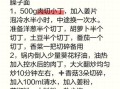 臊子面用什么肉_正宗臊子面配料有哪些