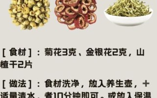 白菊花茶的功效与作用_白菊花茶能天天喝吗