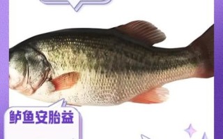 鲈鱼的营养价值_鲈鱼的功效与作用