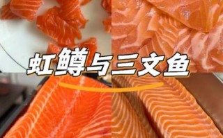 鳟怎么读_鳟鱼是什么鱼