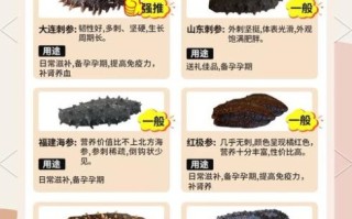 海参种类有哪些_海参营养价值高吗