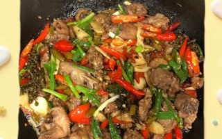 生炒鸭肉怎么做_生炒鸭肉的做法大全